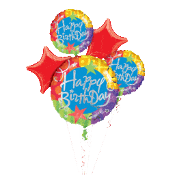 birthday blitz kit – Melbourne Party Balloons | Melbournes Ultimate ...